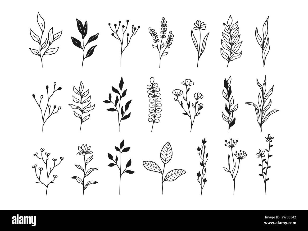 Tiny plantsand flowers, set of cute linear hand drawn botanical ...