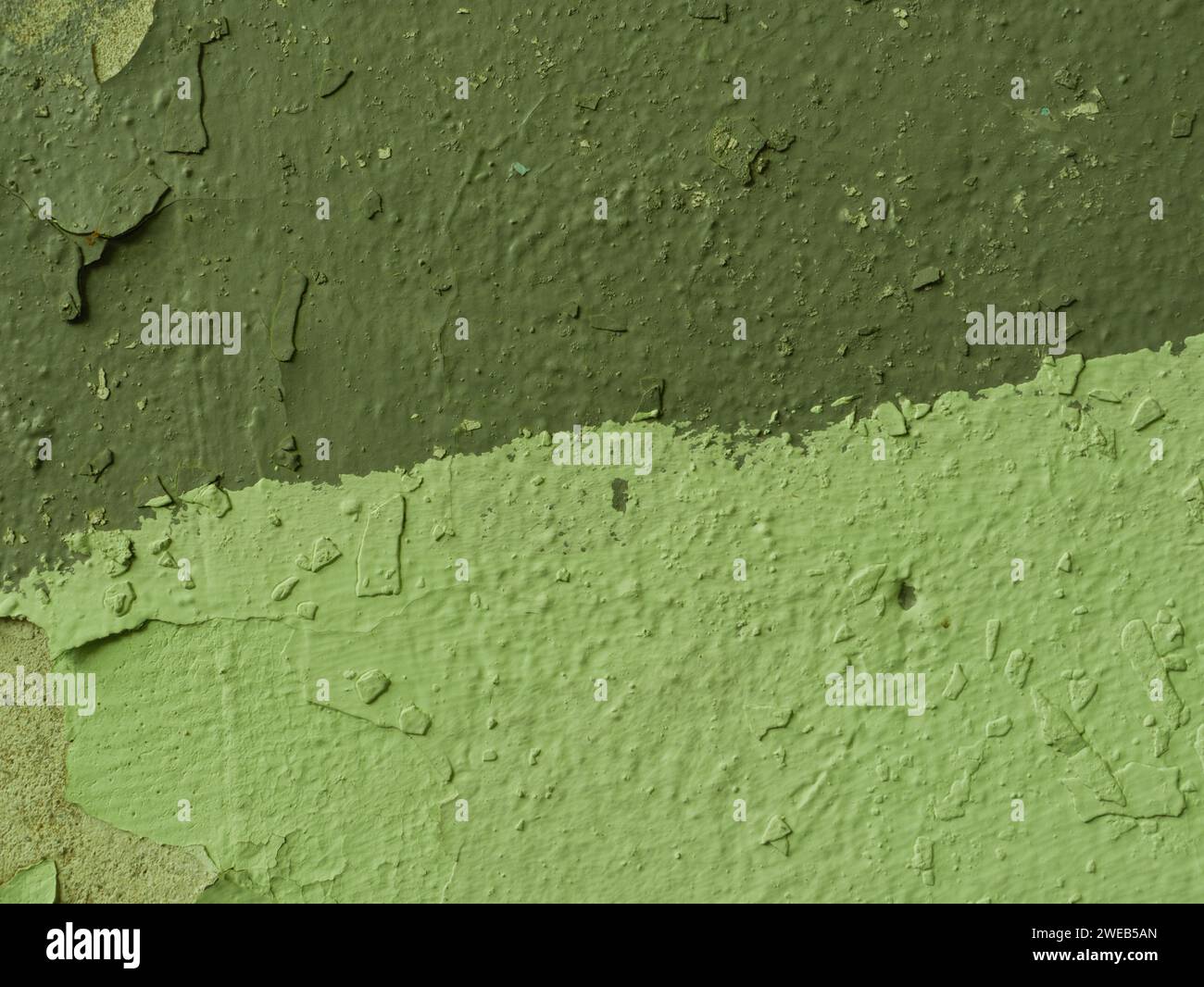 Painted two-tone texture. Texture background of two tones: green and ...