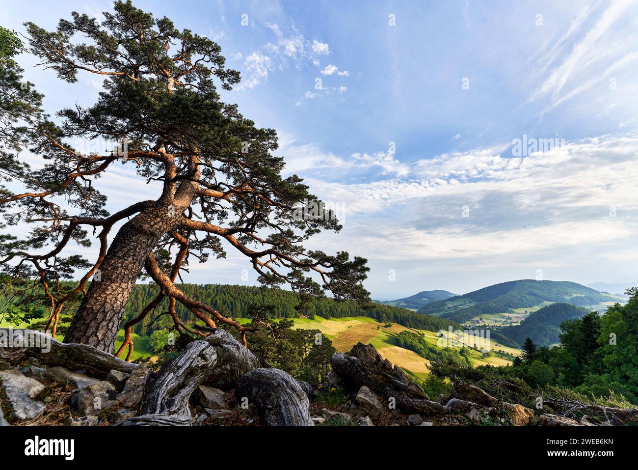 The well-known rocks, called Ankenballen in the Basel area near Bölchen ...