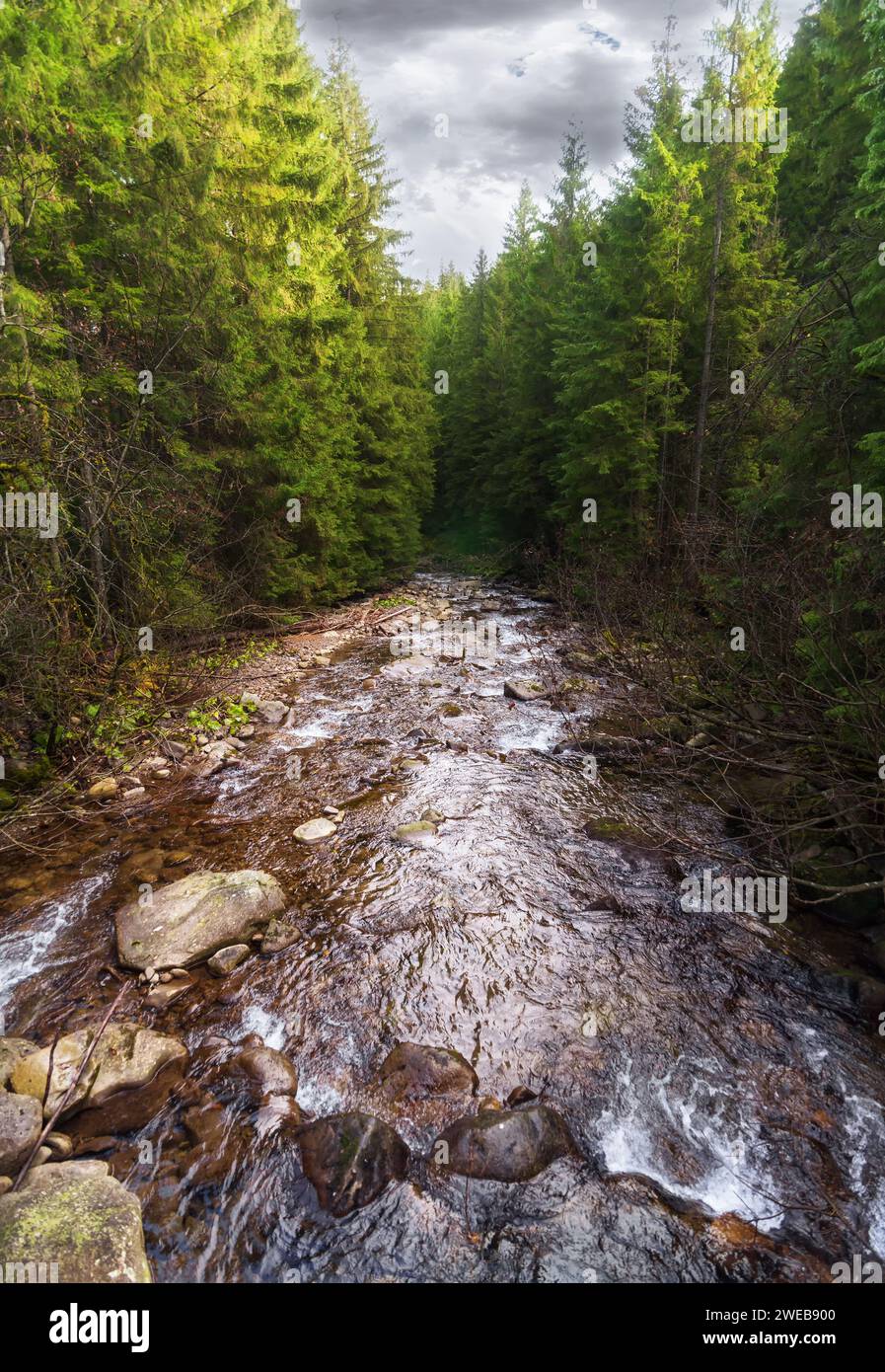 Beautiful mountain river landscape. Fast mountain stream with rocky ...