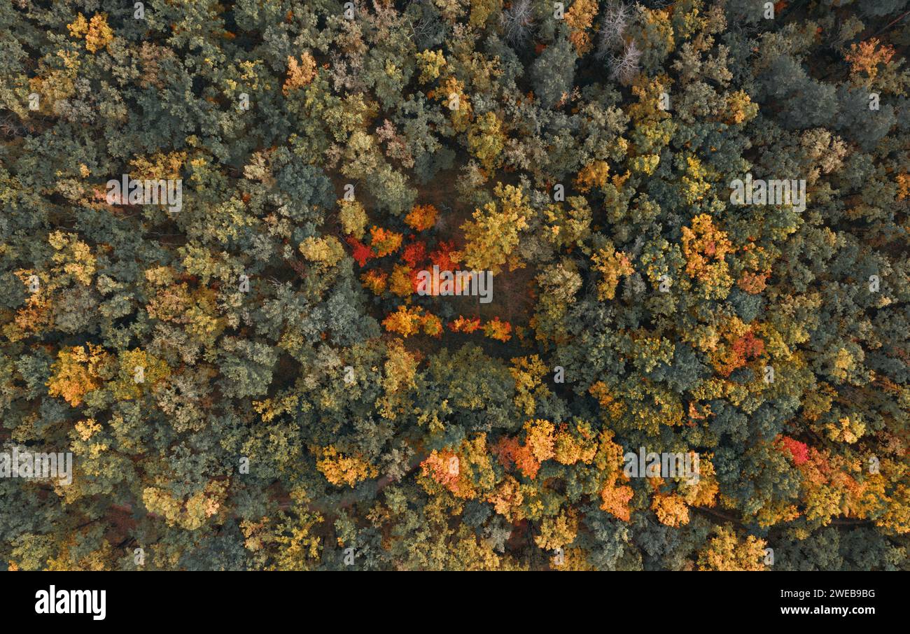 Overhead drone aerial colorful autumn hi-res stock photography and ...