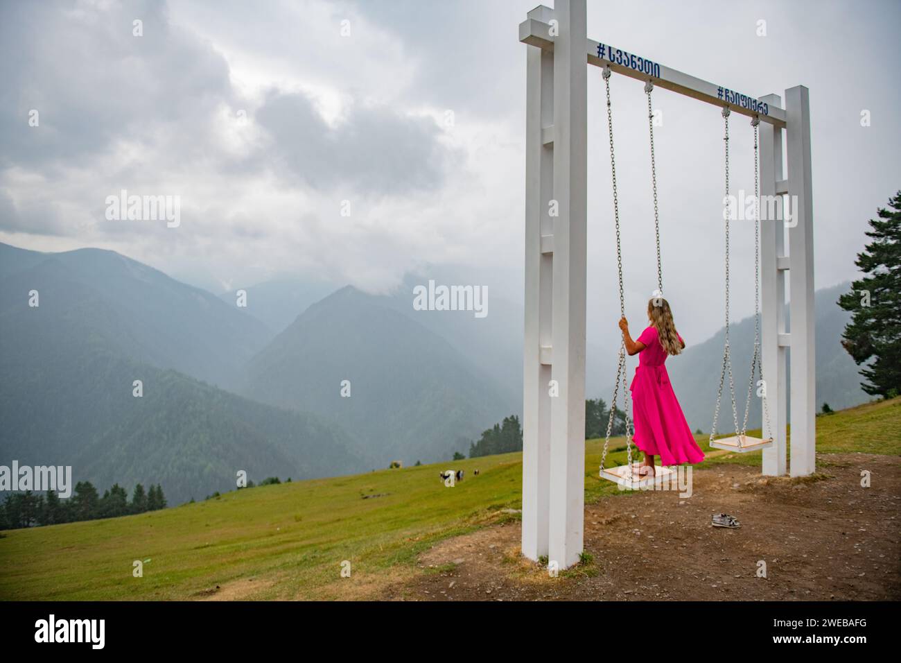 Flying with grace and freedom, a girl in a pink dress on a swing Stock ...