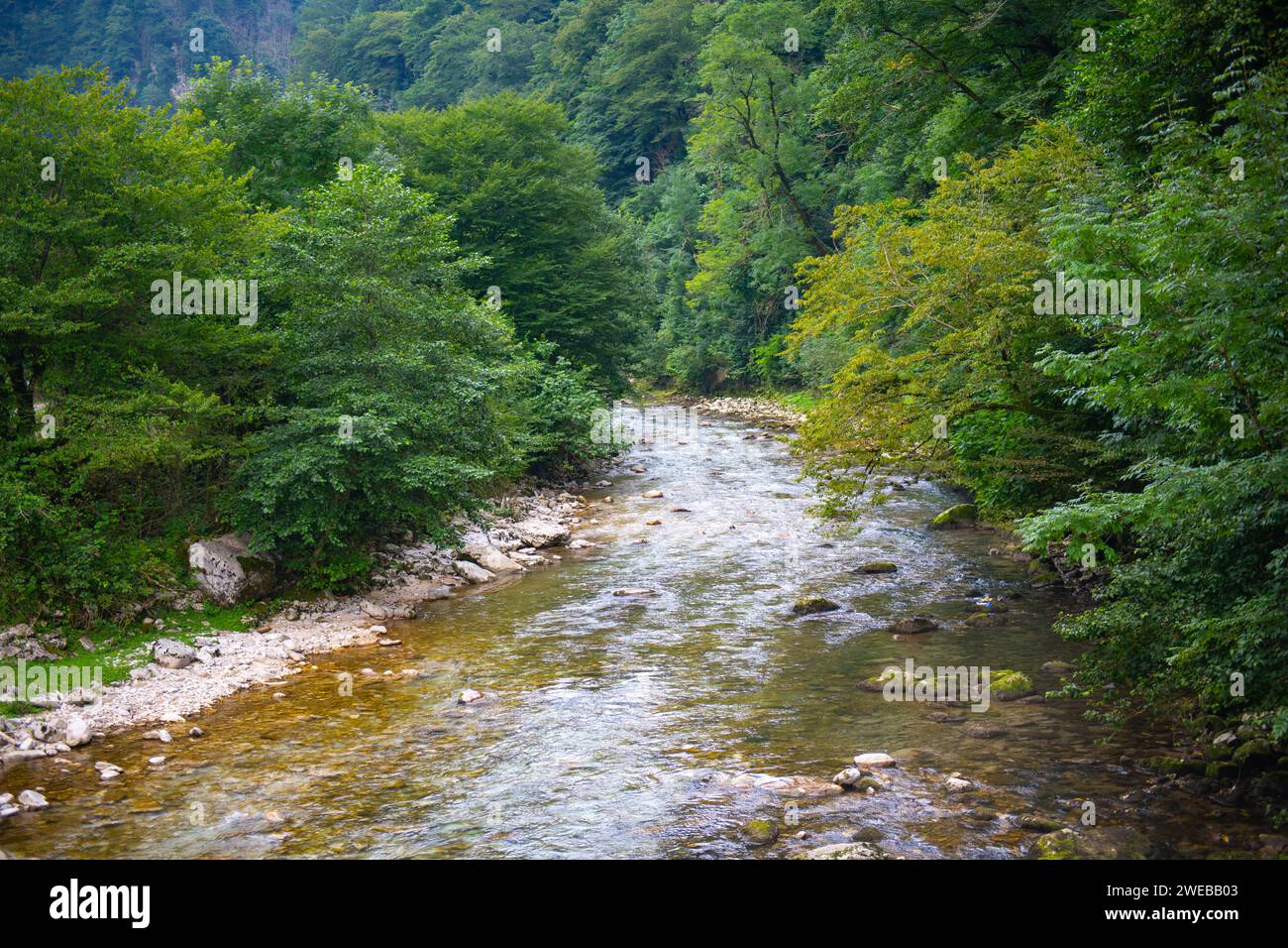 Scenic Mountain River Flowing Through Lush Green Landscape Nature ...