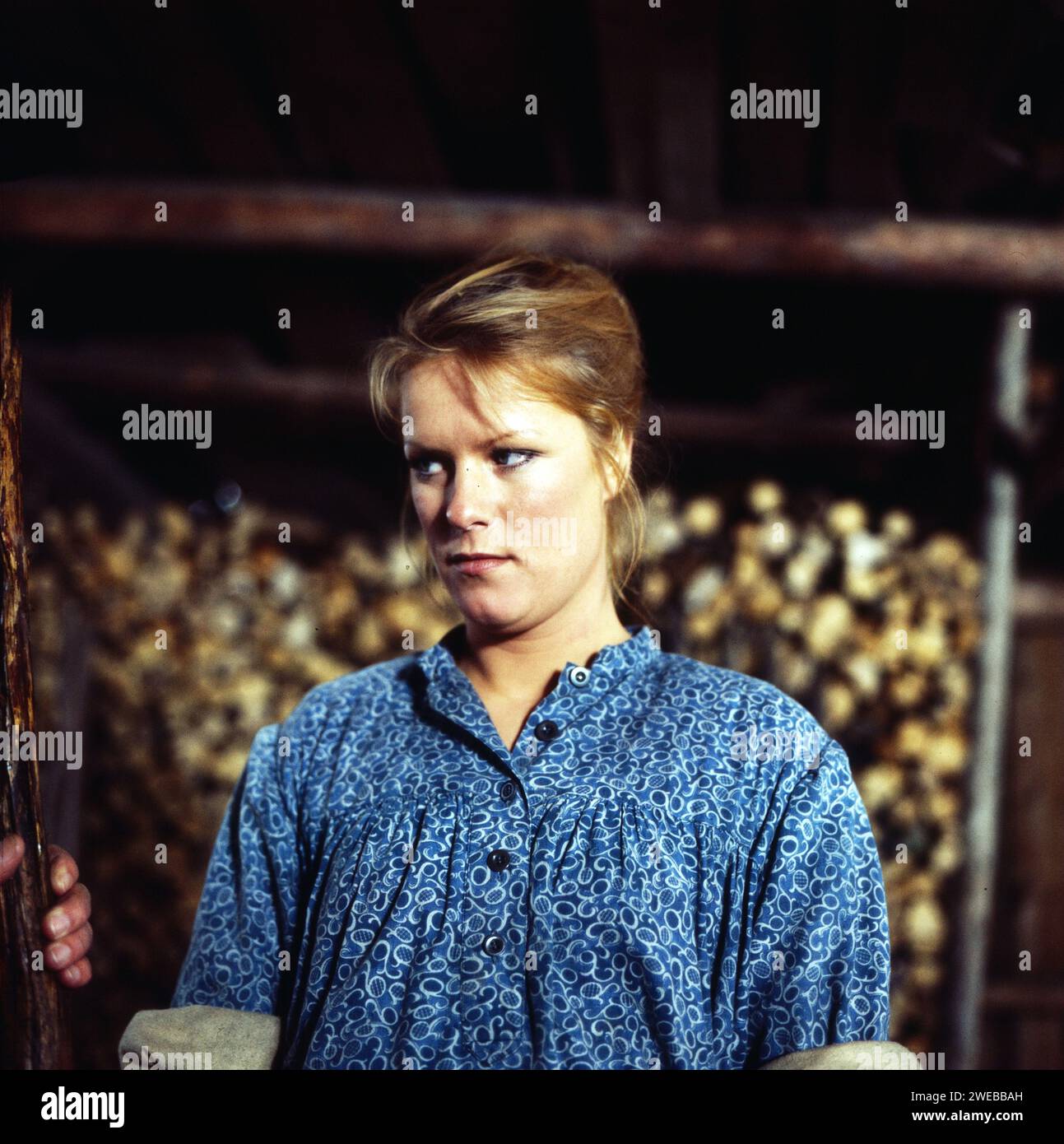 Der Wittiber, Fernsehfilm nach Motiven von Ludwig Thoma, Deutschland ...