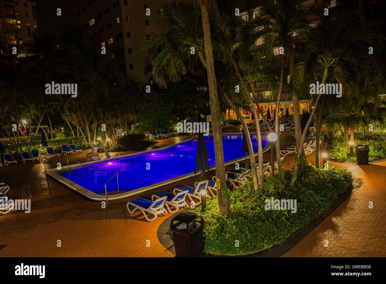 A beautiful night view at the Radisson hotel, where palm trees and an ...