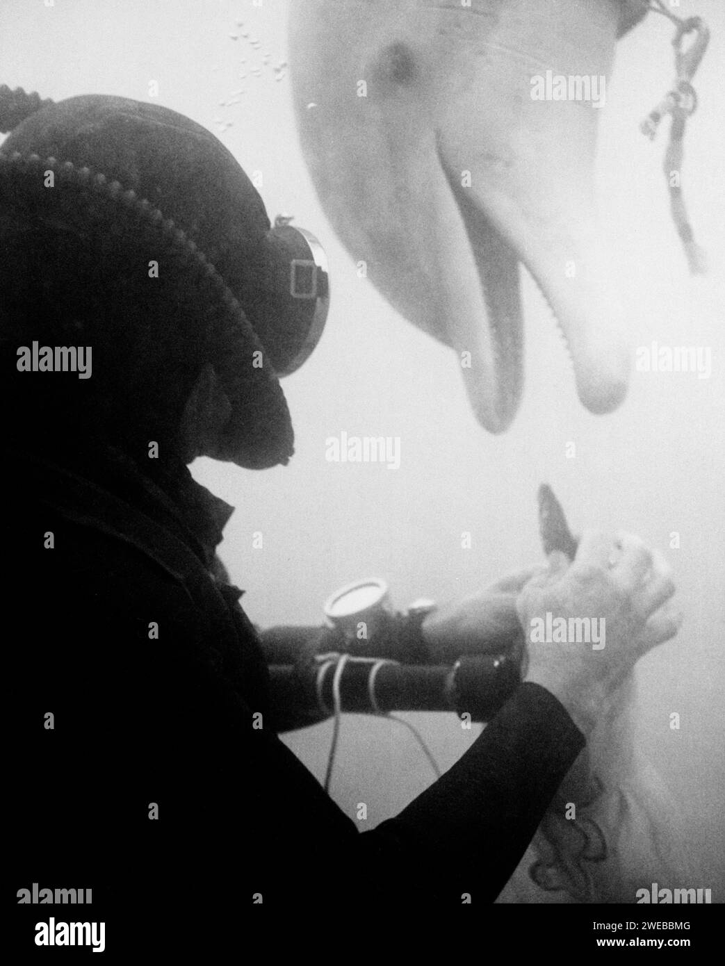 In this handout from the U.S. Navy, diver John Reaves of the Sealab II ...