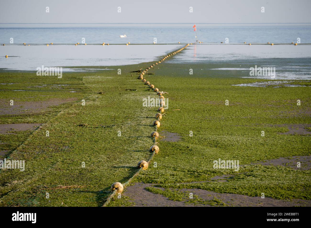 Fishing net, a fish-trap in the sea, summer steady low water level ...