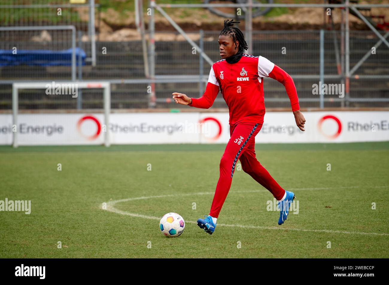COLOGNE, GERMANY - 24 JANUARY, 2024: Elias Bakatukanda, Practice 1. FC Koeln at Geissbockheim ...