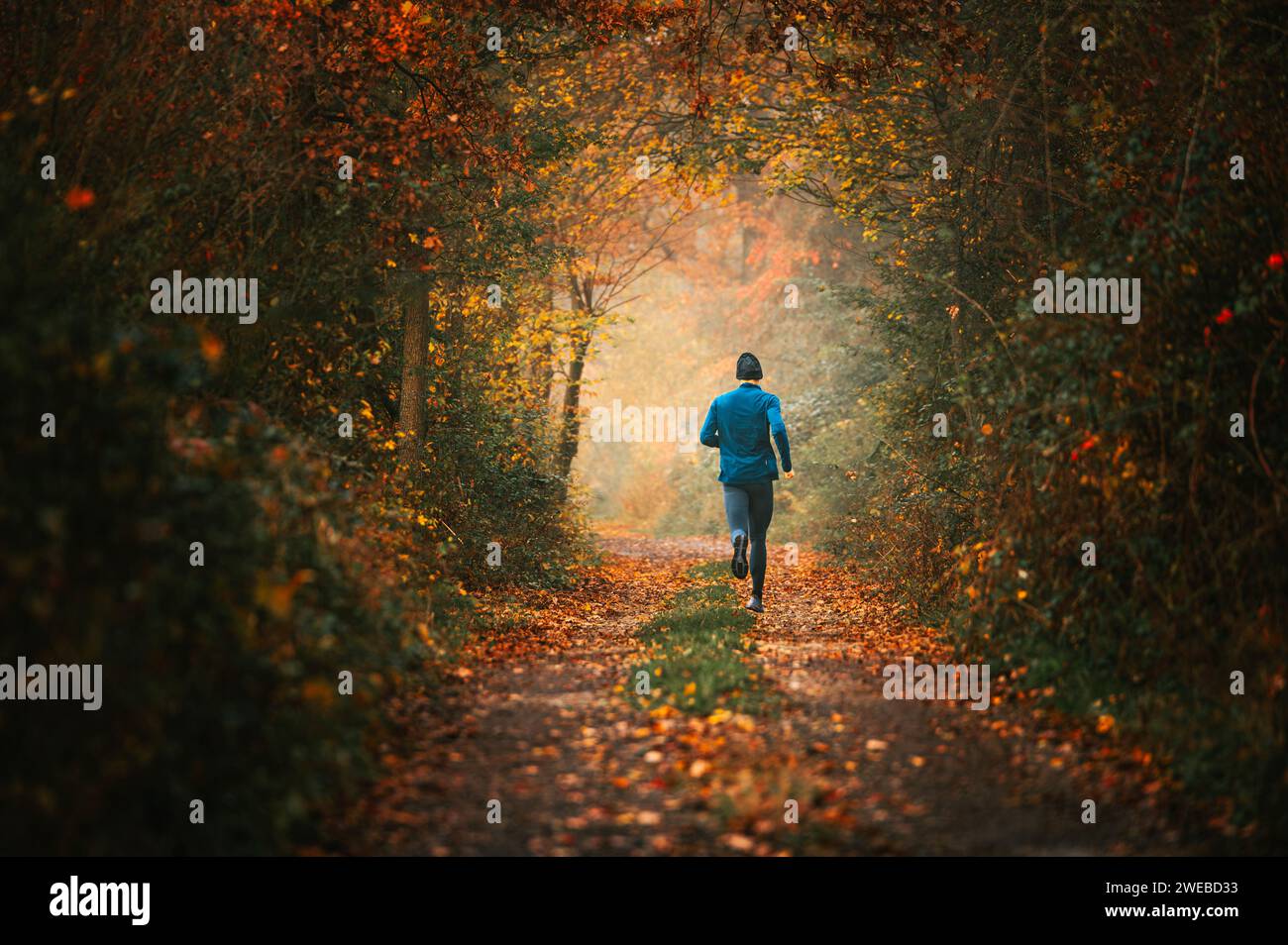 Captivating photo hi-res stock photography and images - Alamy
