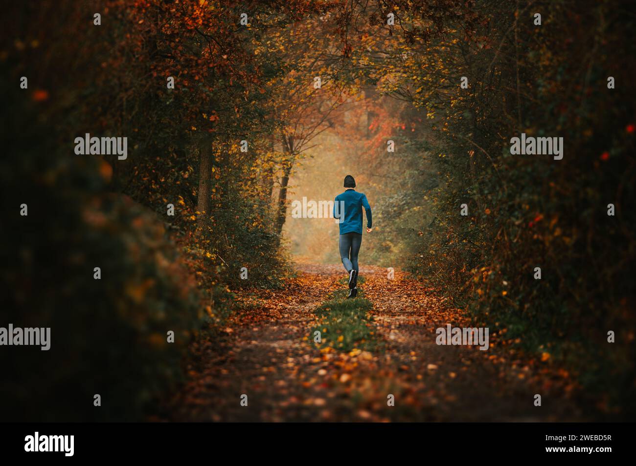 Young trail runner captured hi-res stock photography and images - Alamy