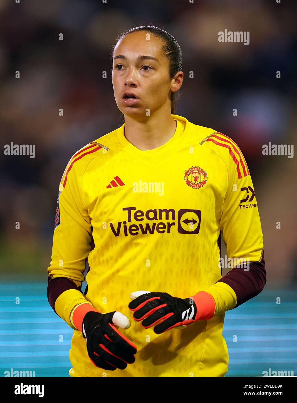 Phallon tullis joyce hi-res stock photography and images - Alamy