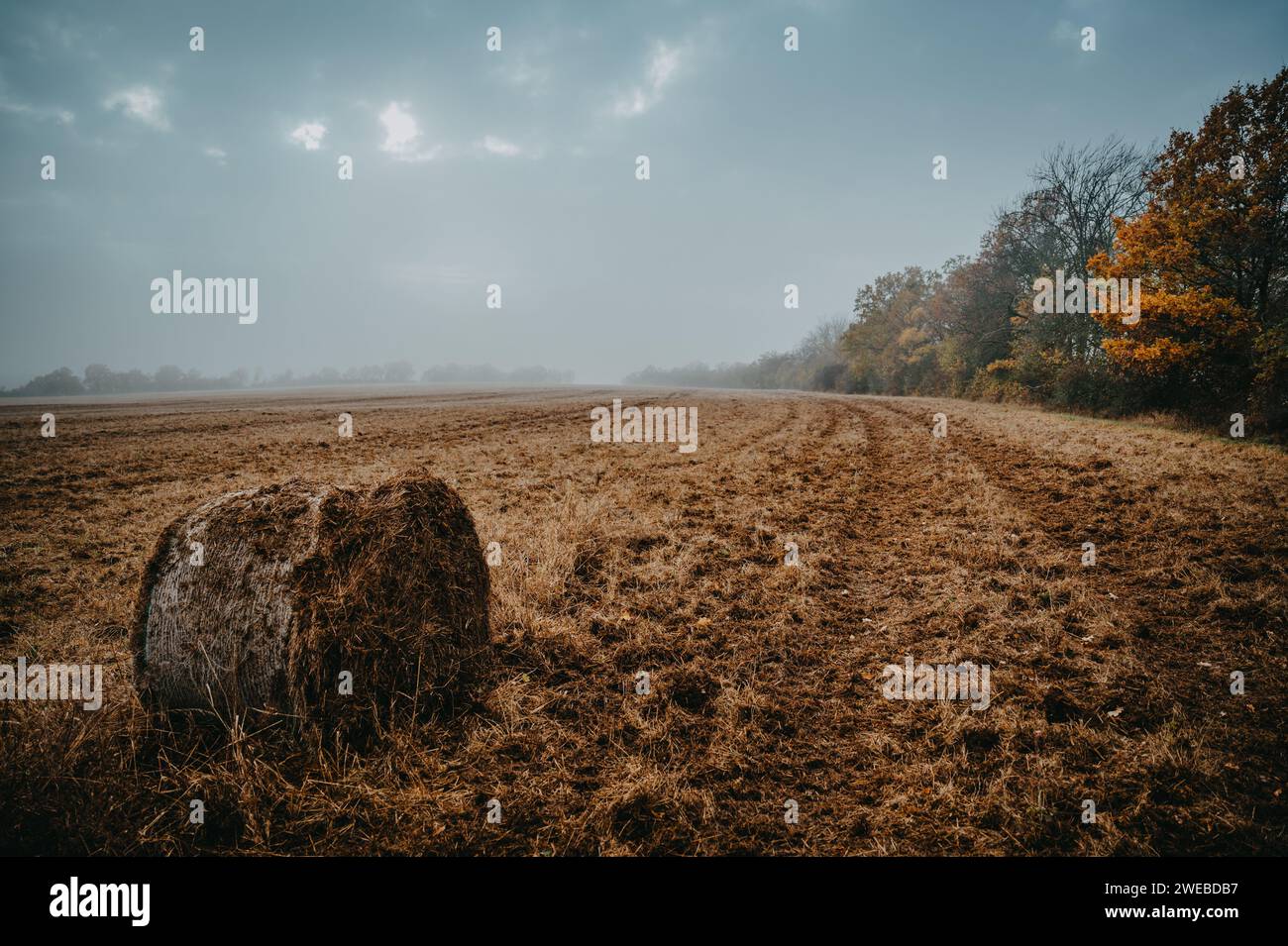 Melancholic beauty of raindrops kissing a lone straw bale in the fall ...