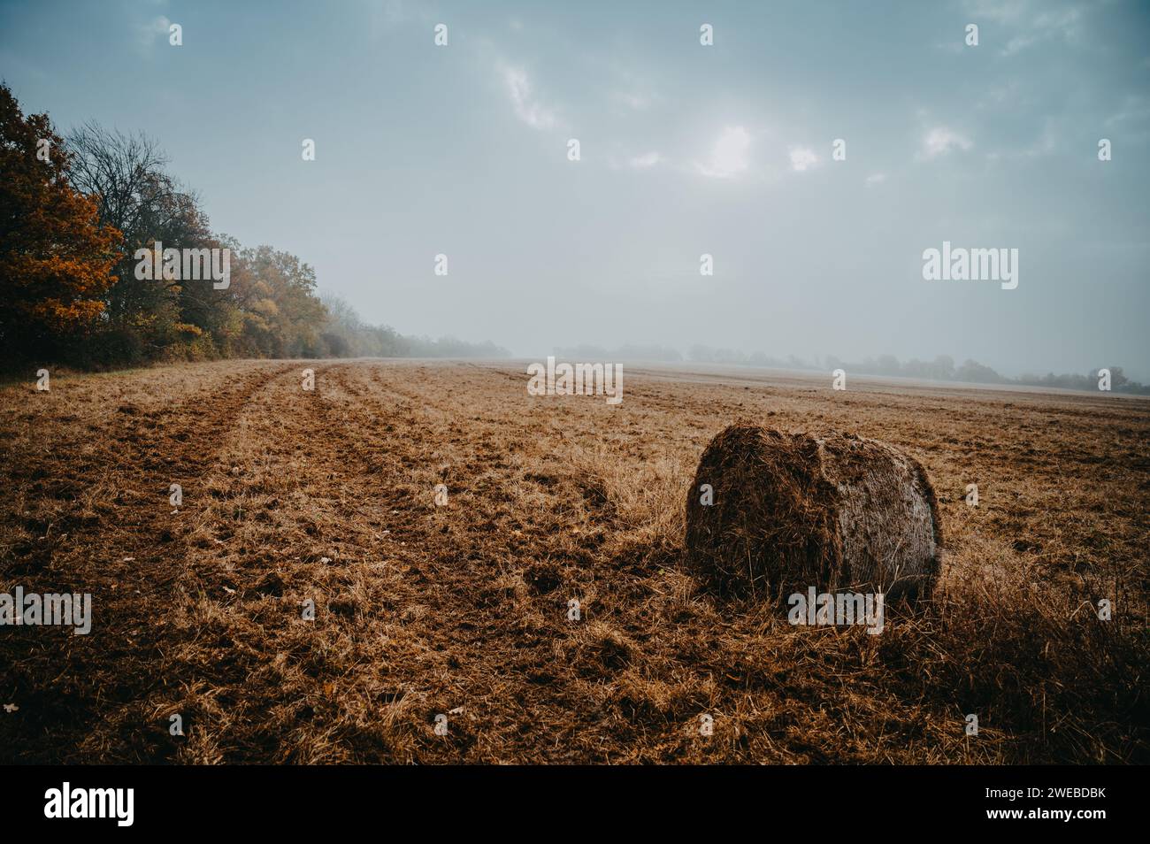 A bale of straw on an autumn rainy field. A photo of a melancholy ...