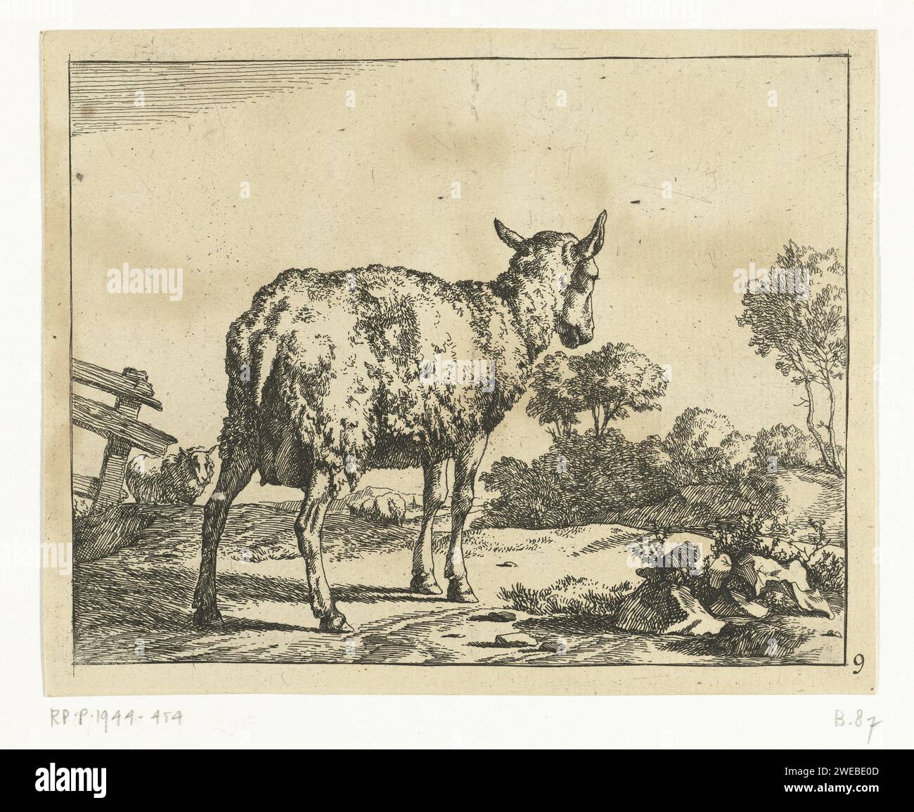 Standing sheep, from behind, near Hek, Marcus de Bye, 1728 - c. 1761 ...