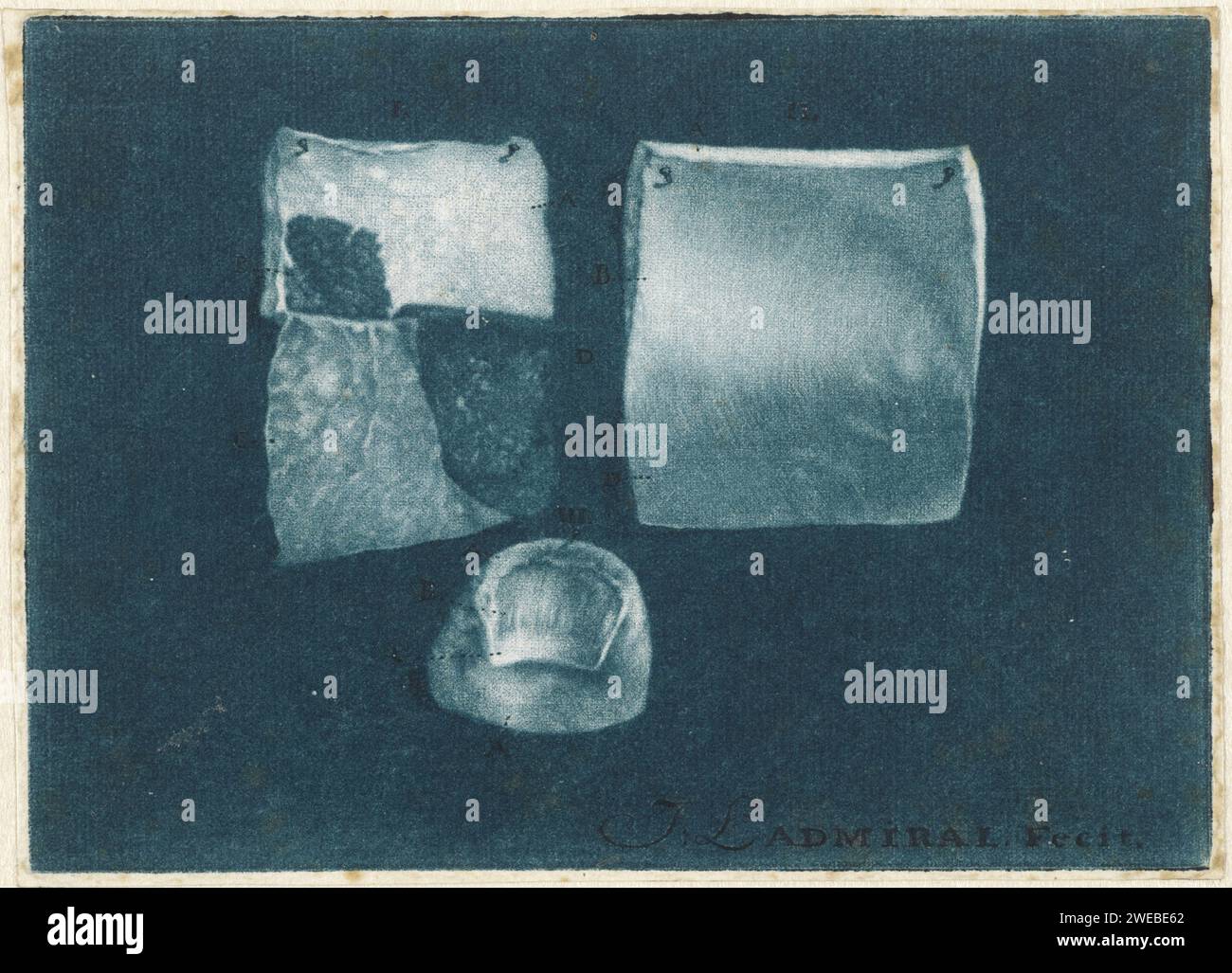 Anatomical study of human skin and nail, Jan L'Admiral, 1737 print ...