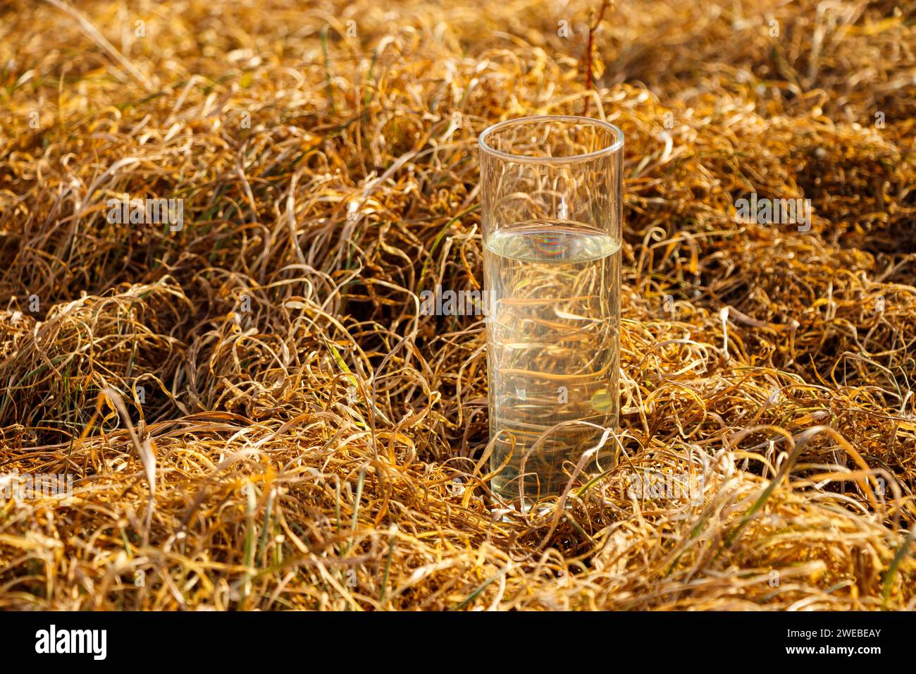 Sequía europa hi-res stock photography and images - Alamy