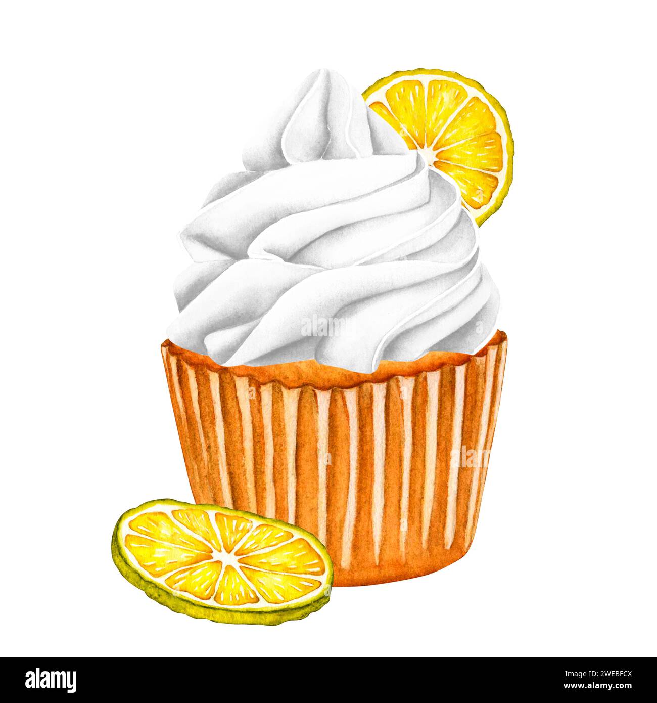 Lemon cupcakes with white butter cream and slice of lemon. Watercolor ...