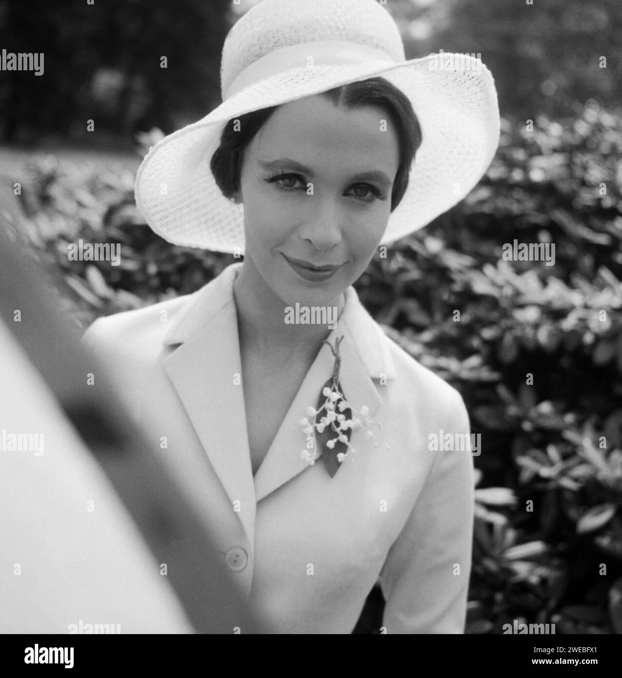 Claire bloom portrait hi-res stock photography and images - Alamy