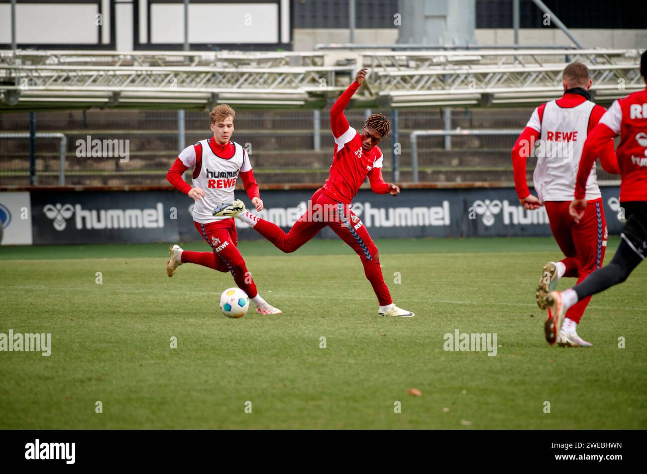 COLOGNE, GERMANY - 24 JANUARY, 2024: Justin Diehl, Practice 1. FC Koeln at Geissbockheim Stock ...