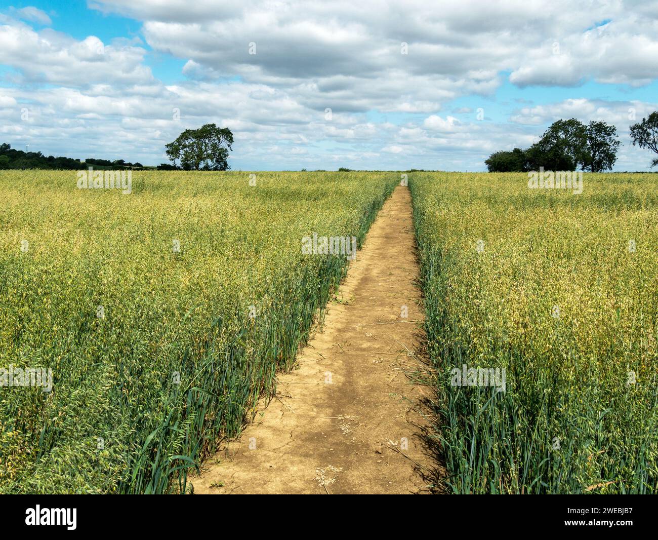 Well maintained footpath hi-res stock photography and images - Alamy