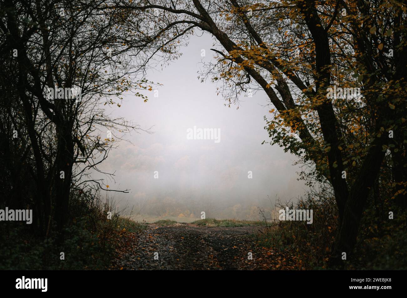 Introspective space hi-res stock photography and images - Alamy
