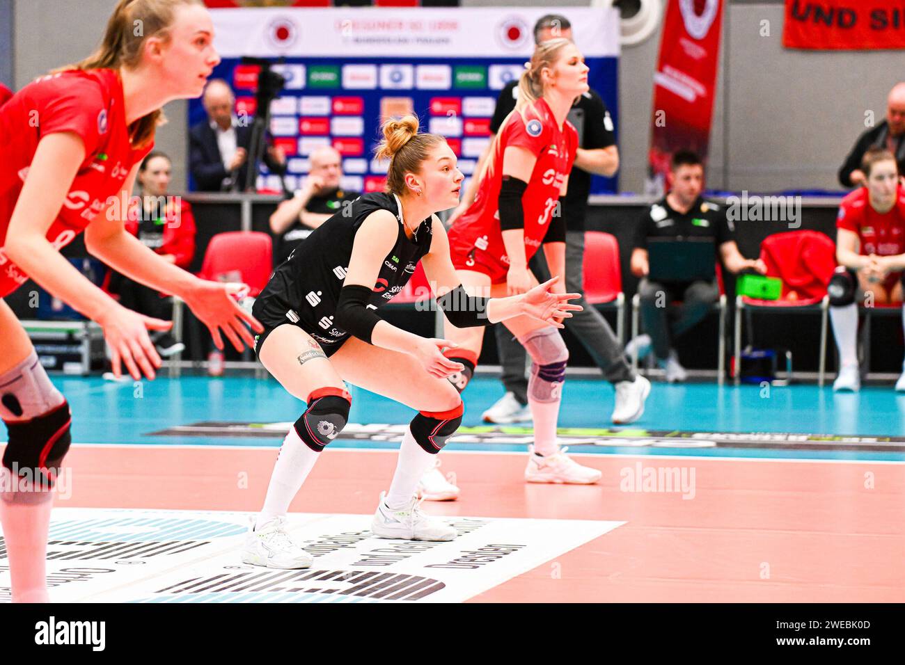 Dresden, Deutschland. 24th Jan, 2024. Lotte Goertz (Dresdner SC, #5) 1 ...