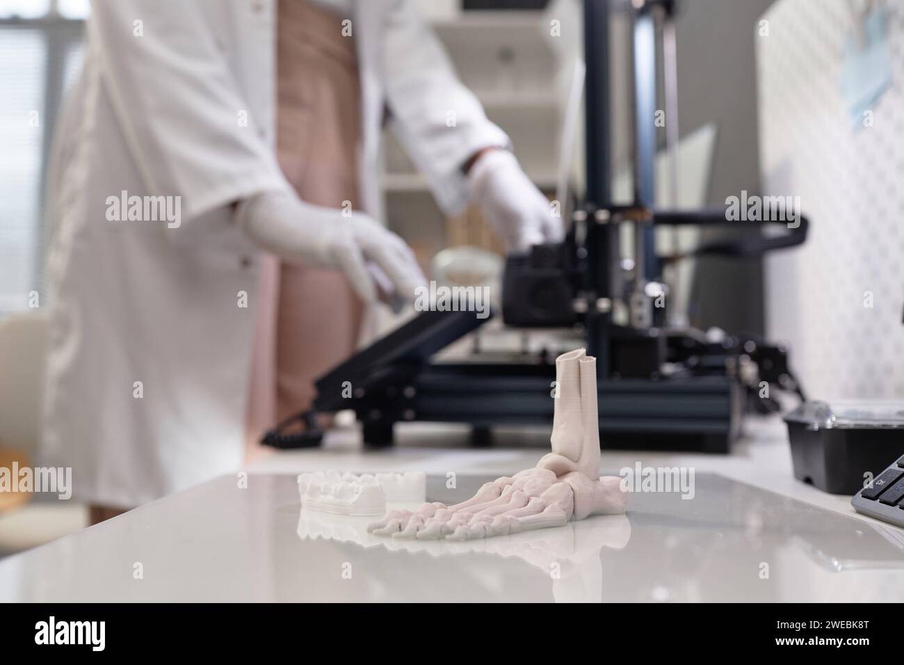 3d dental models hi-res stock photography and images - Alamy