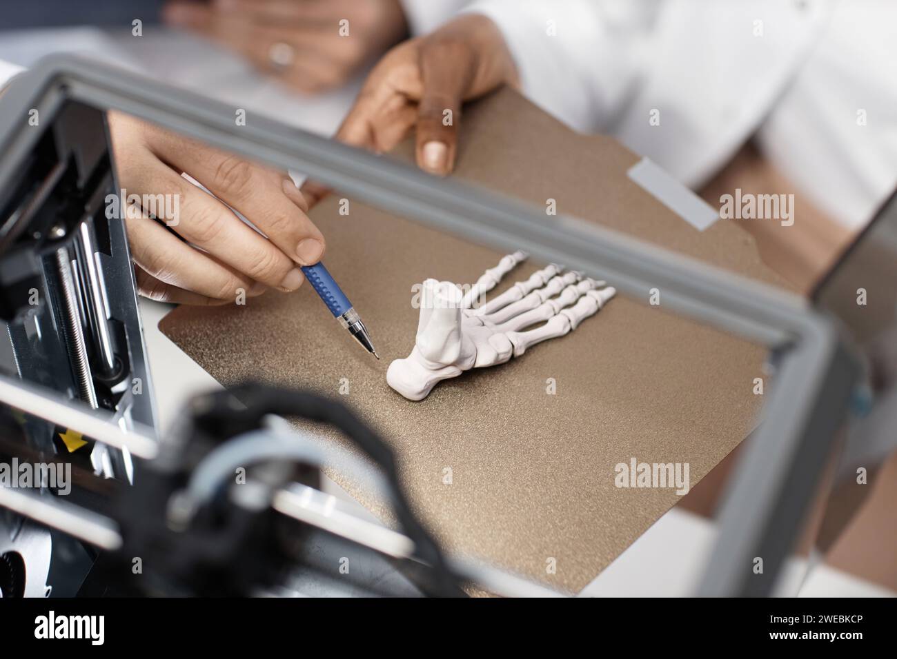 Scientists Studying 3D Model Stock Photo - Alamy