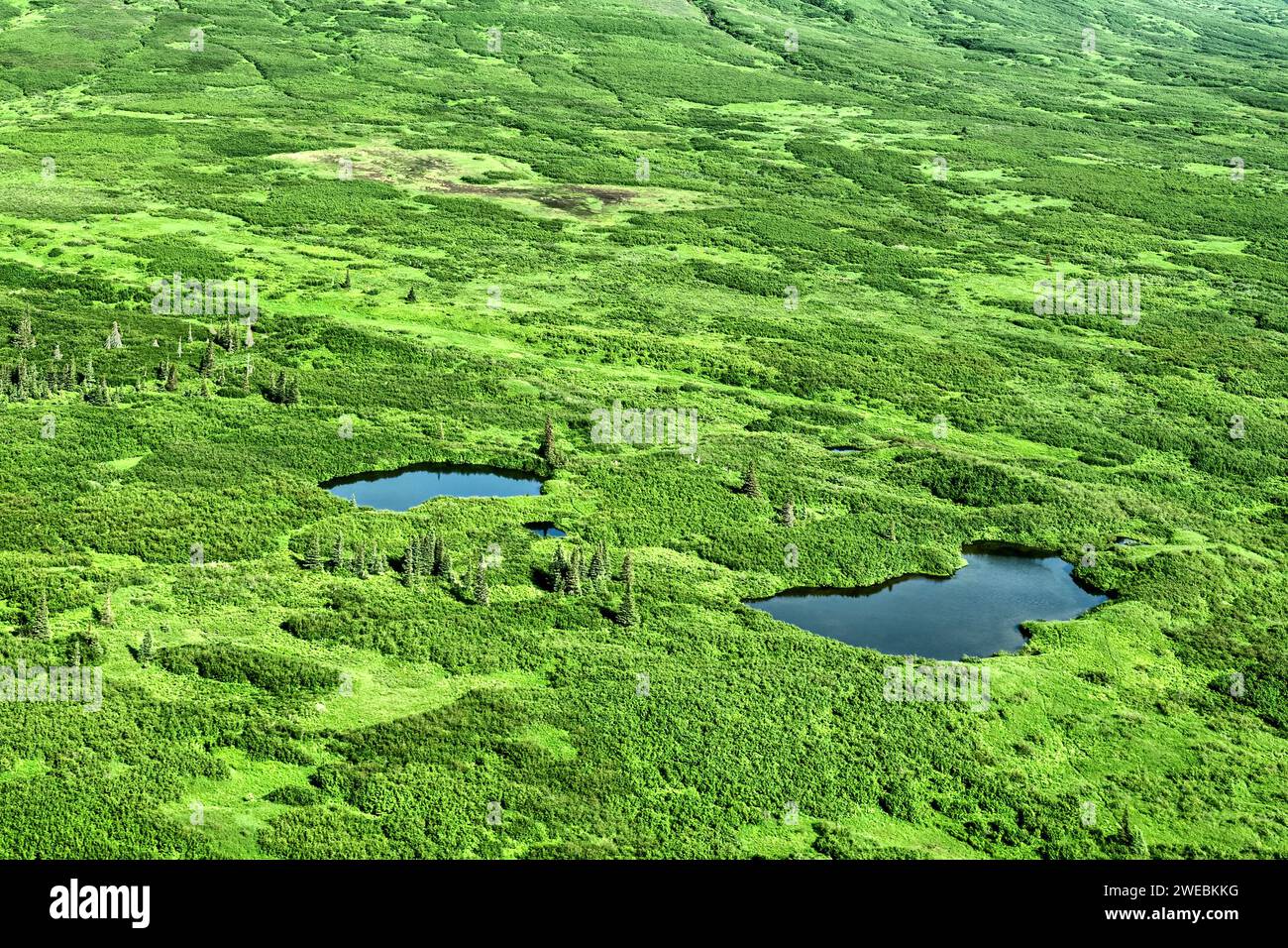 A bird's eye view of the peninsula between Trading Bay and Redoubt Bay ...