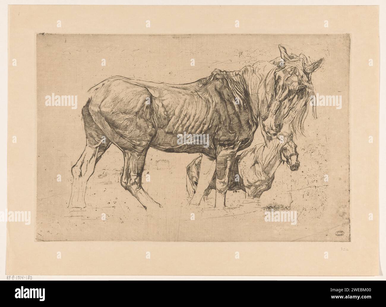 Two horses, Pieter Dupont, 1897 print Paris paper horse Stock Photo - Alamy