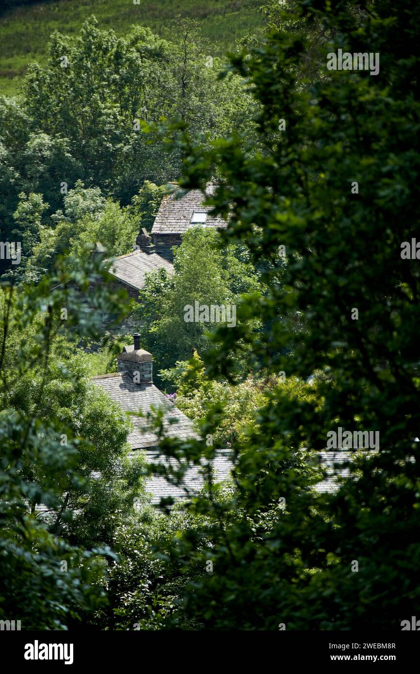 looking through trees at slate covered rooves of buildnigs in skelwith ...