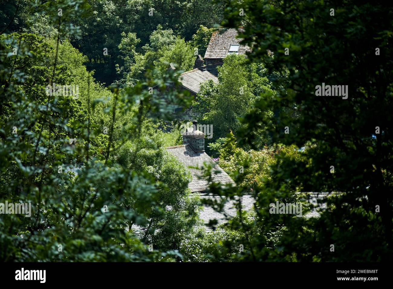 looking through trees at slate covered rooves of buildnigs in skelwith ...