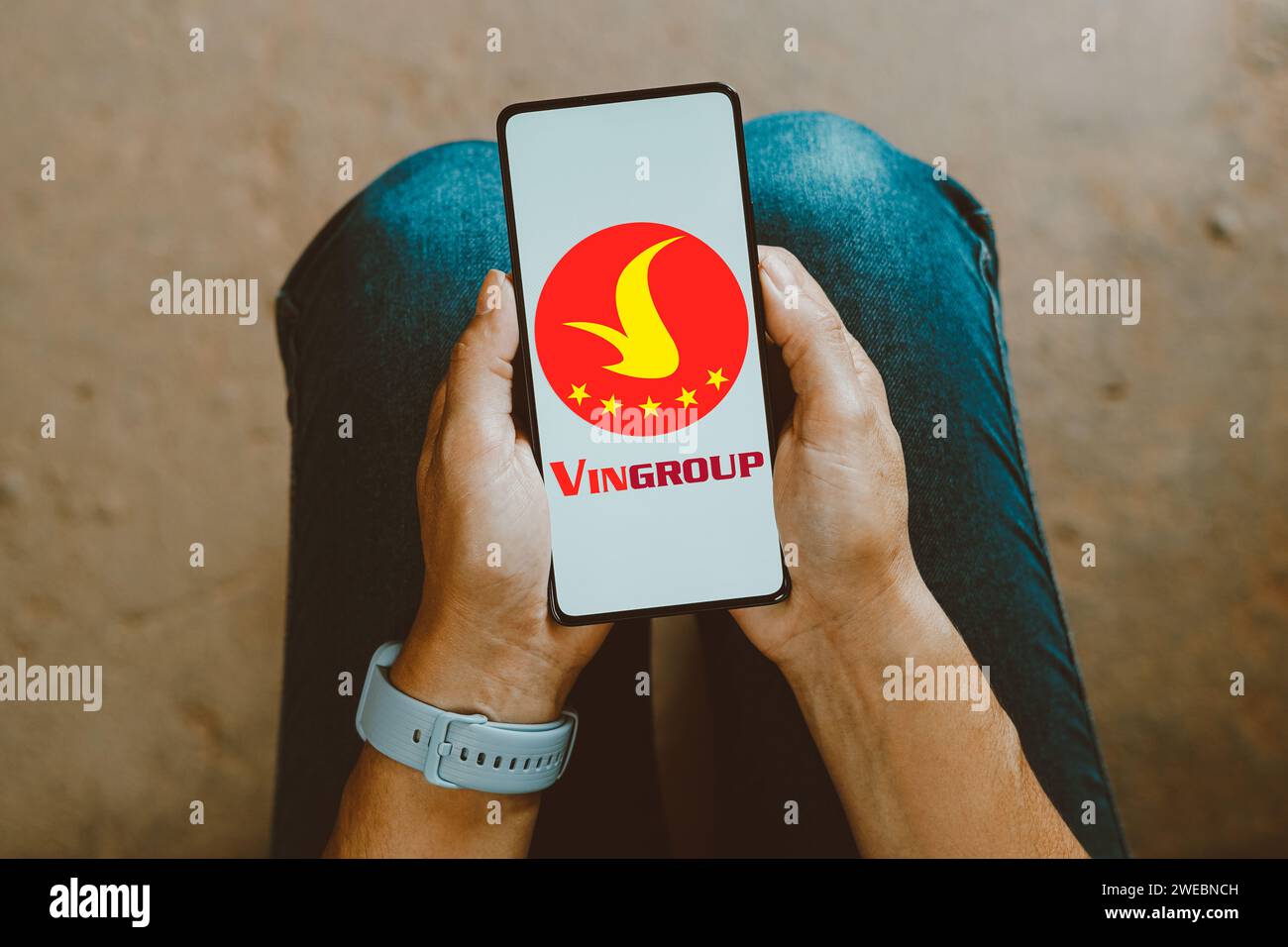 Logo vingroup hi-res stock photography and images - Alamy