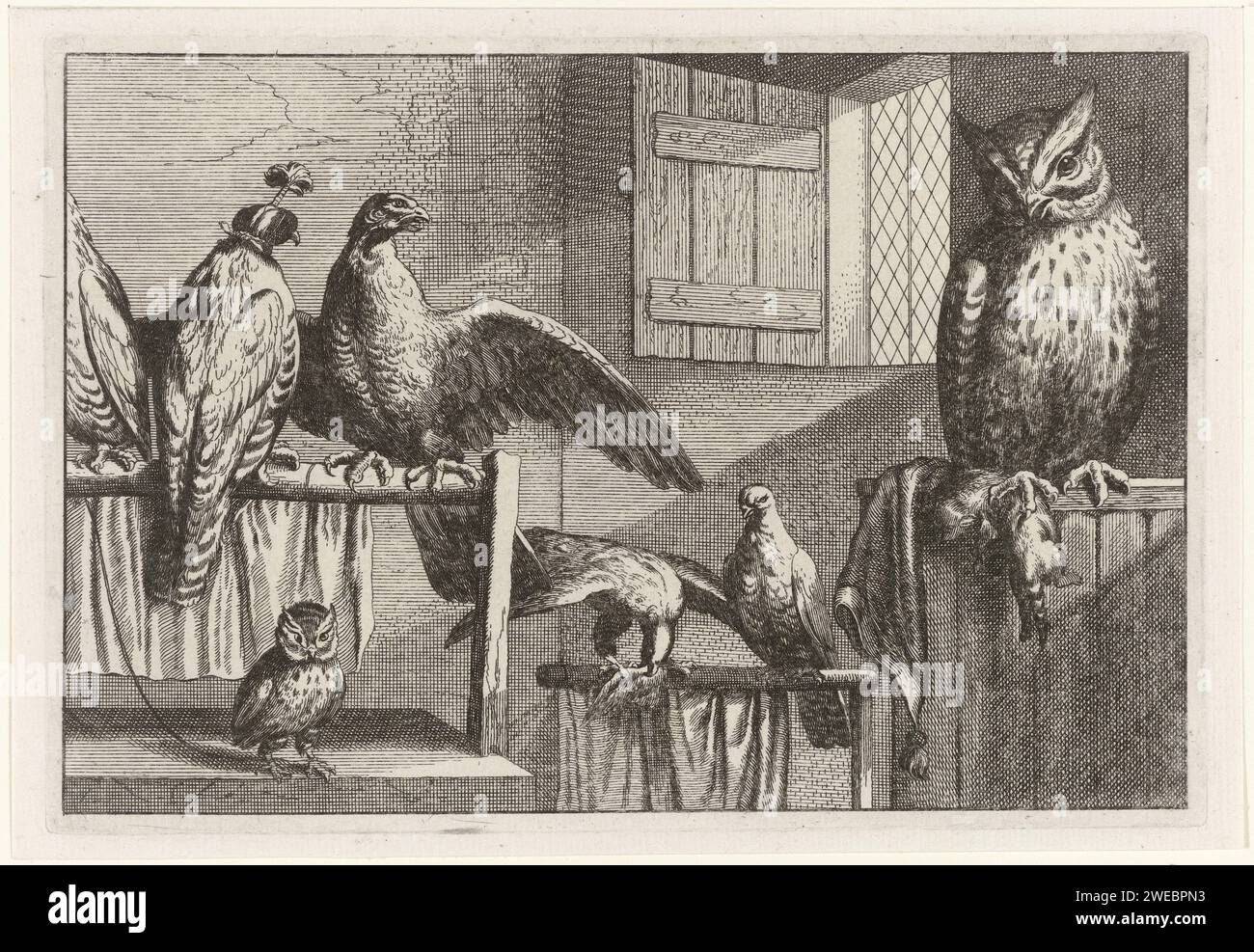Titelblad diverse bird species, Francis Barlow, 1654 - 1662 print paper ...