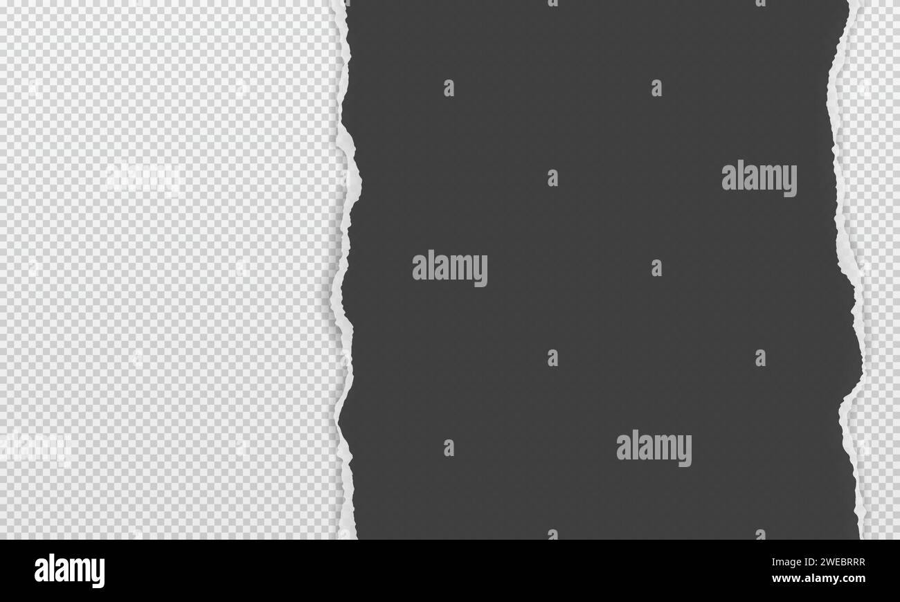 Torn, ripped black paper strip with soft shadow is on squared ...