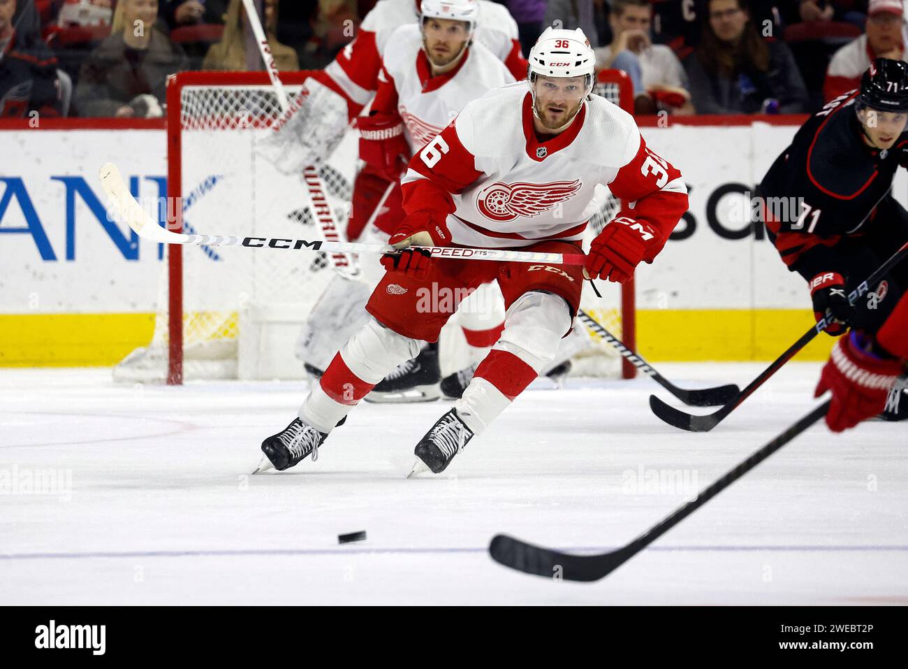 Detroit Red Wings' Christian Fischer (36) skates after the puck against ...