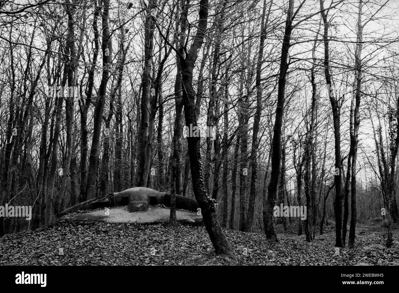 Casemate Pamard, Verdun, Meuse, Grand-Est region, France, 2000 Stock ...