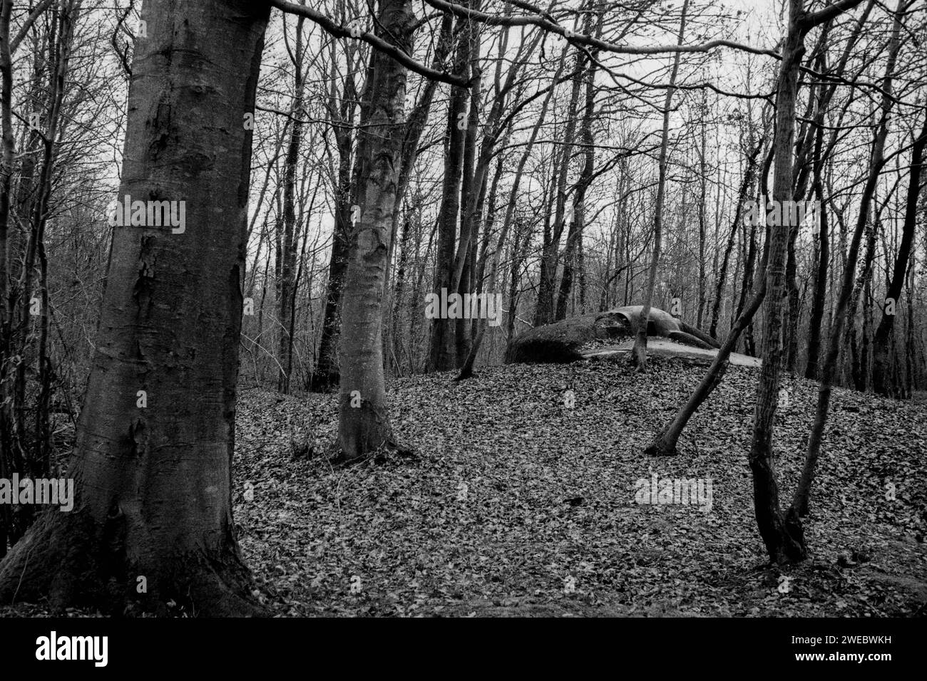 Casemate Pamard, Verdun, Meuse, Grand-Est region, France, 2000 Stock ...