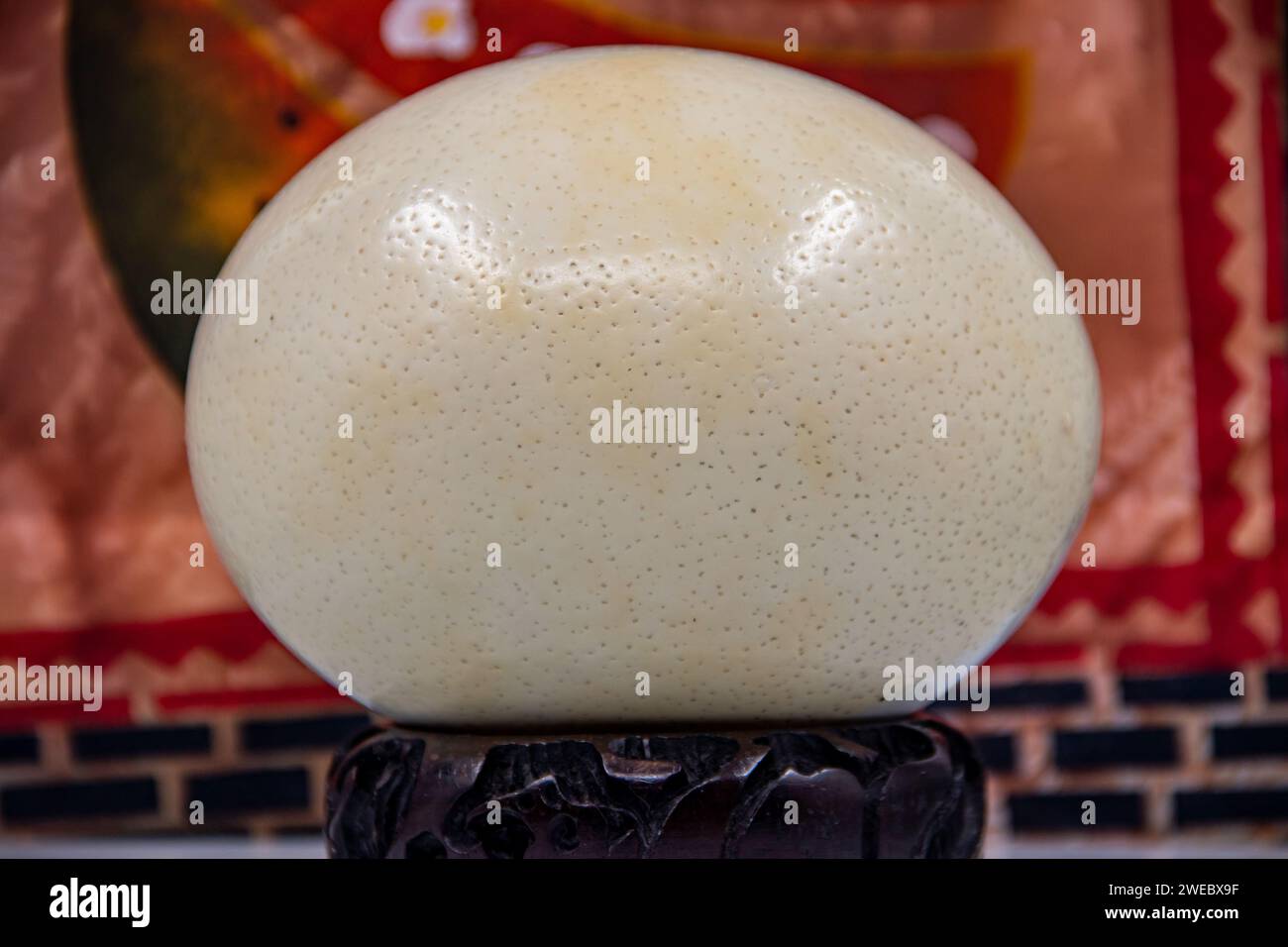 Ostrich big size egg placed on wooden stand, isolated Stock Photo - Alamy