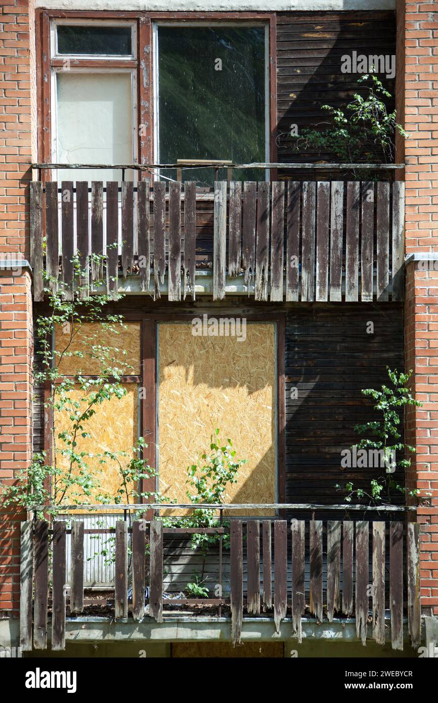 The close view of trees growing inside abandoned resort building ...