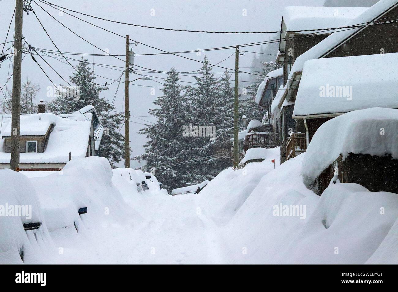 Cars and a hillside are covered in snow on Monday, Jan. 22, 2024, in ...