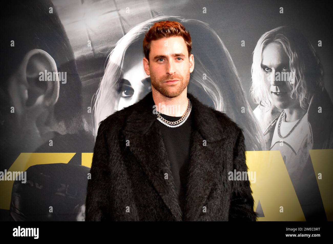 Jackdaw uk premiere hi-res stock photography and images - Alamy