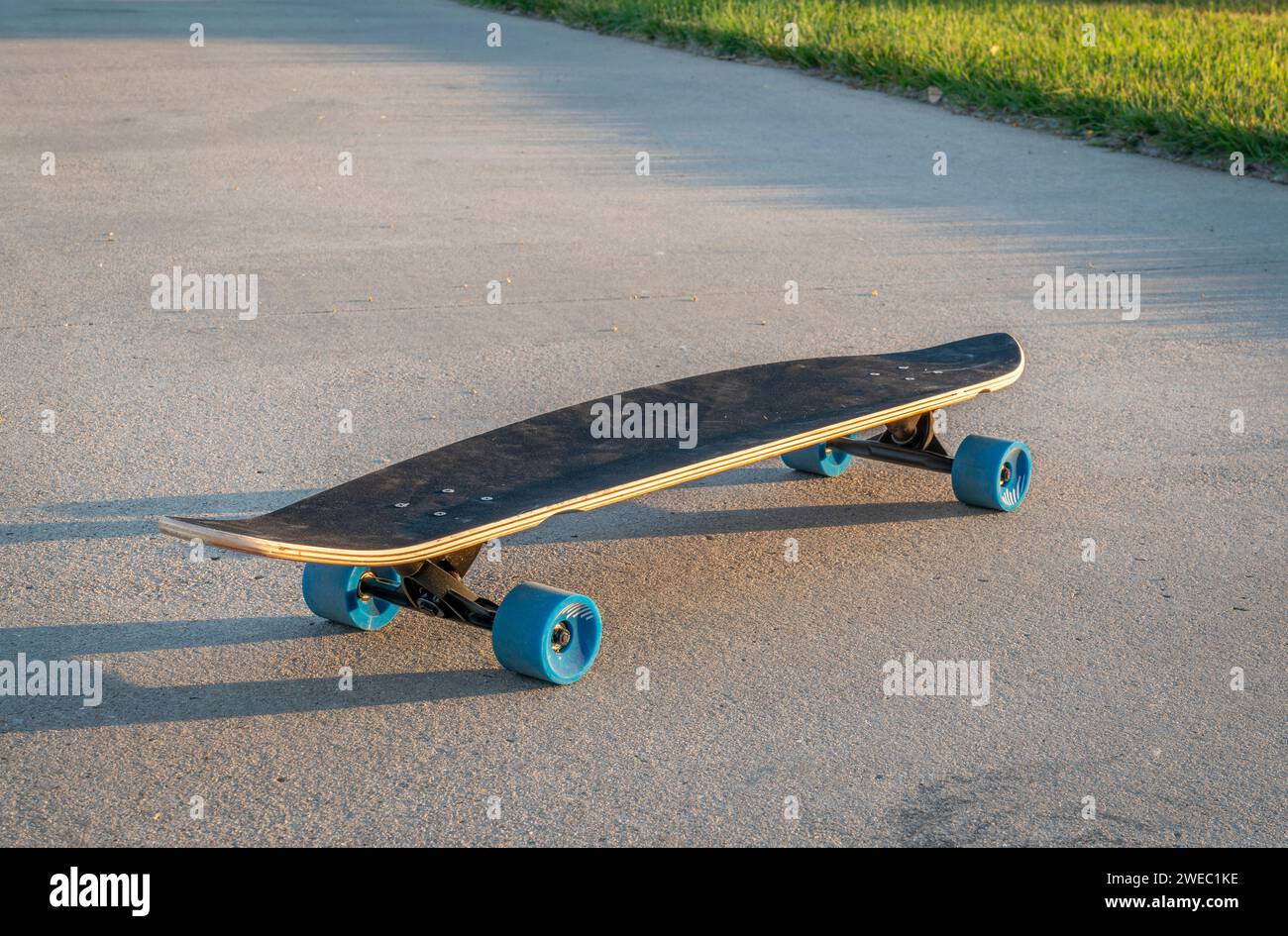 cruising longboard with blue wheels on a paved bike trail in summer ...