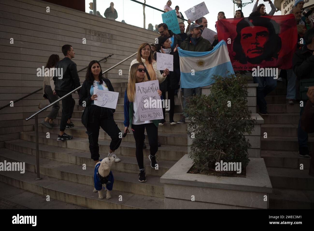 Javier milei dog hi-res stock photography and images - Alamy