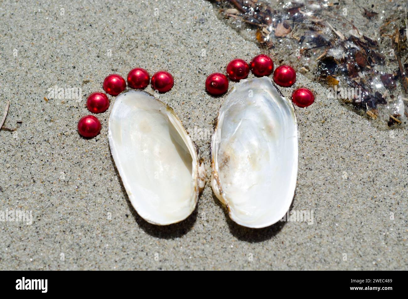 Footprints Made of Shells and Pearls in the Sand Stock Photo - Alamy