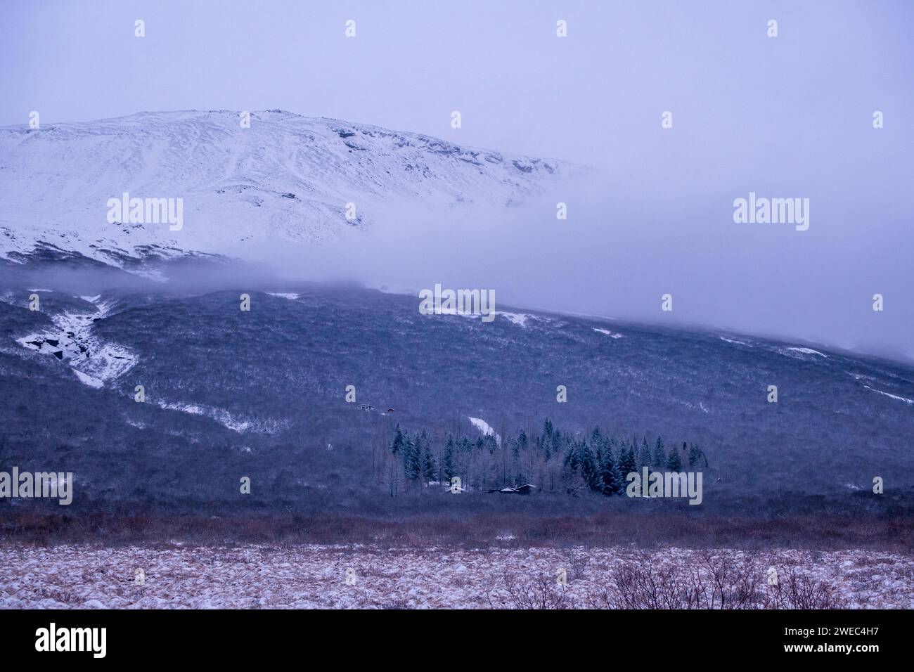 January scenery hi-res stock photography and images - Alamy