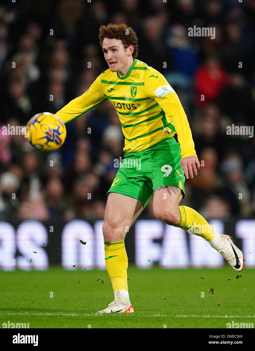 Josh sargent 2024 hi-res stock photography and images - Alamy