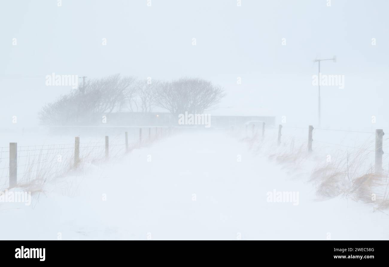 Blizzard and remote cottage, Orkney Islands Stock Photo - Alamy
