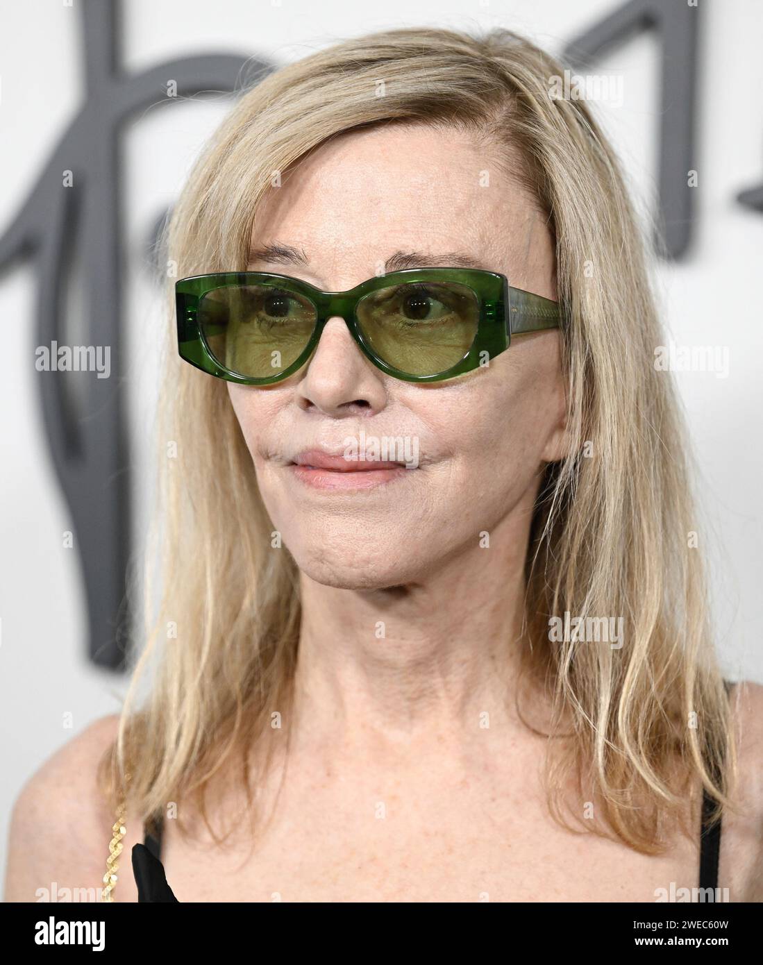 Paige Powell attends the premiere of FX's "Feud: Capote Vs. The Swans ...