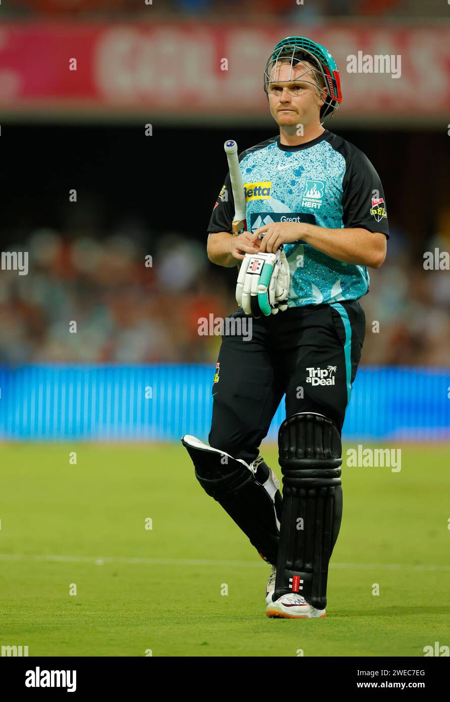 Max bryant of the brisbane heat hi-res stock photography and images - Alamy